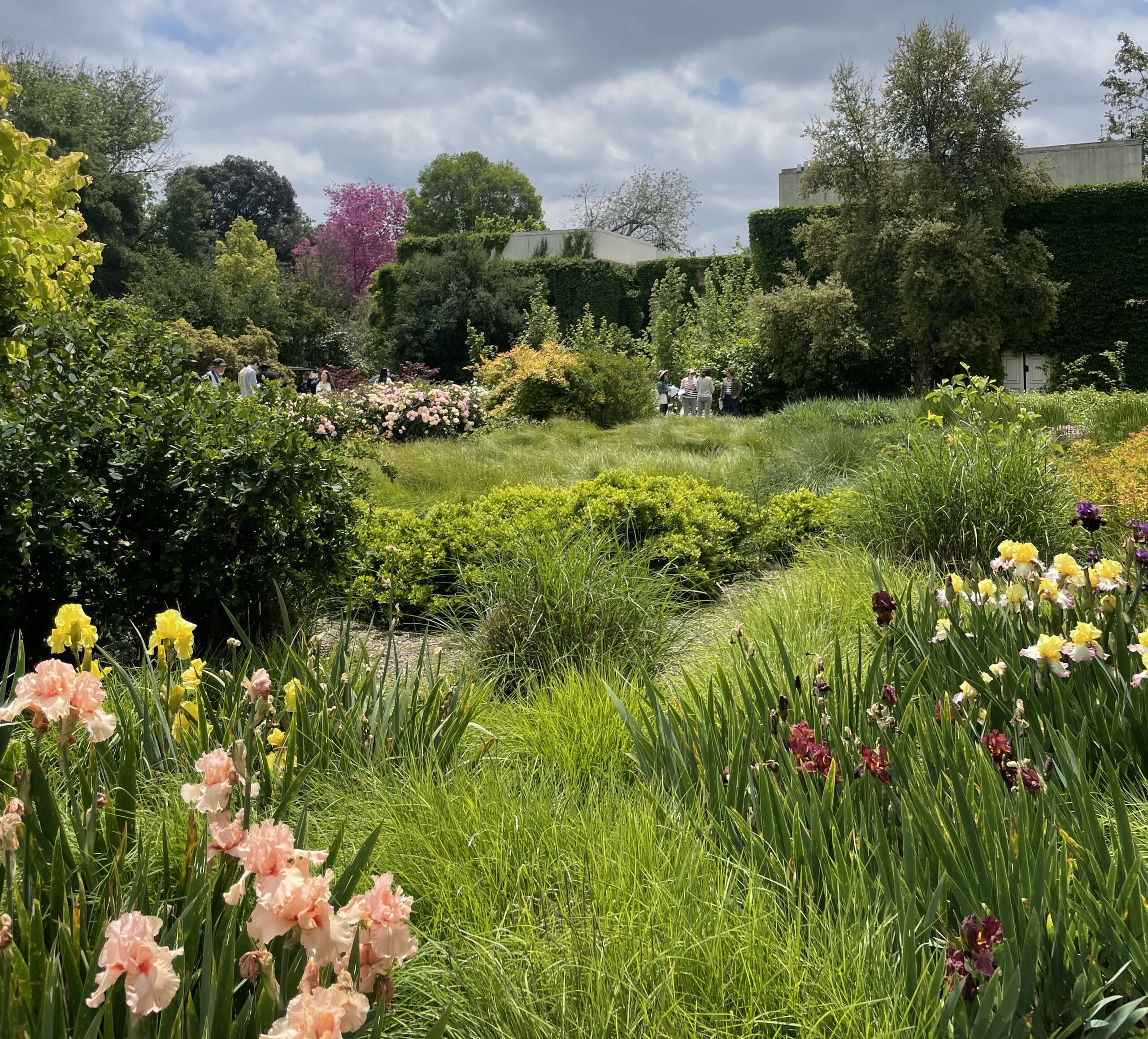 How to make a bestseller in the late social media era (This week in ...