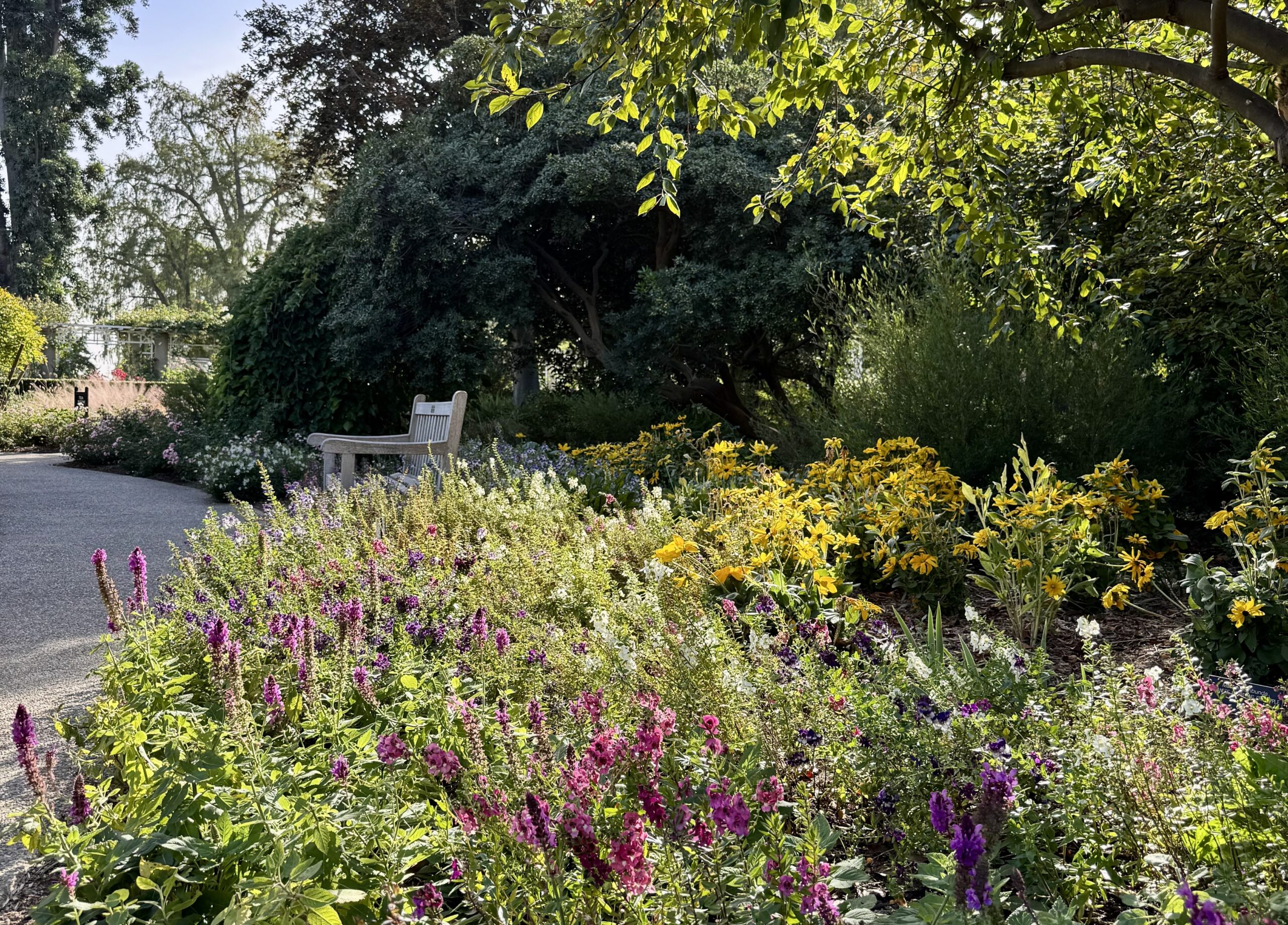 RIP Mike Shatzkin (This week in books) - Nathan Bransford | Writing ...